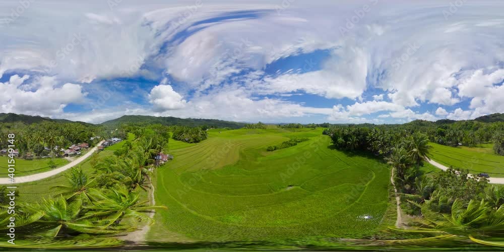 Aerial view of Rice terraces in the Philippines. Rice plantations in ...