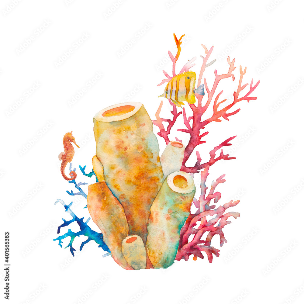 Watercolor coral illustration. Hand drawn isolated underwater branches ...