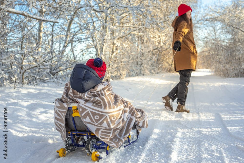 Mom is pulling a child on a sledge walking on a winter Sunny day out of ...