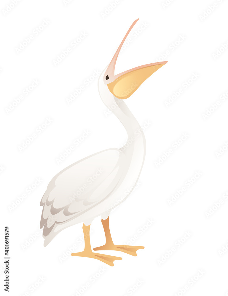 Pelican genus large water bird cartoon animal design big white bird ...