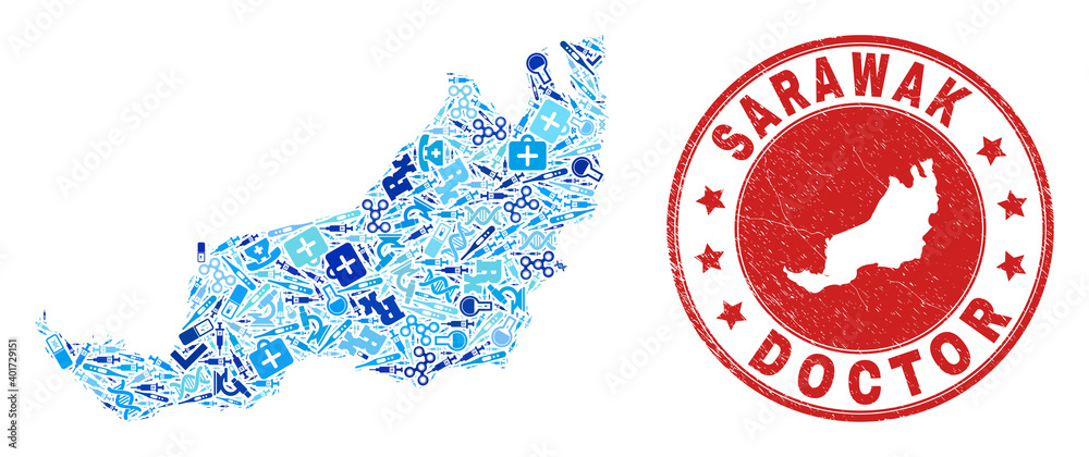 Vector mosaic Sarawak State map with medical icons, chemical symbols ...