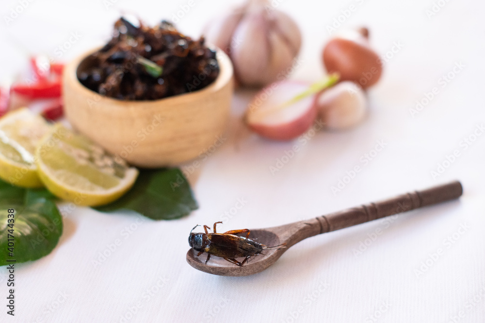 Fried crickets in wooden bow as edible insects on white background ...