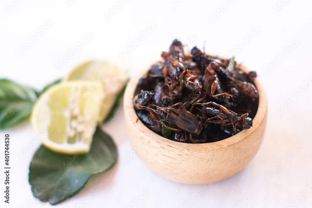 Fried crickets in wooden bow as edible insects on white background ...