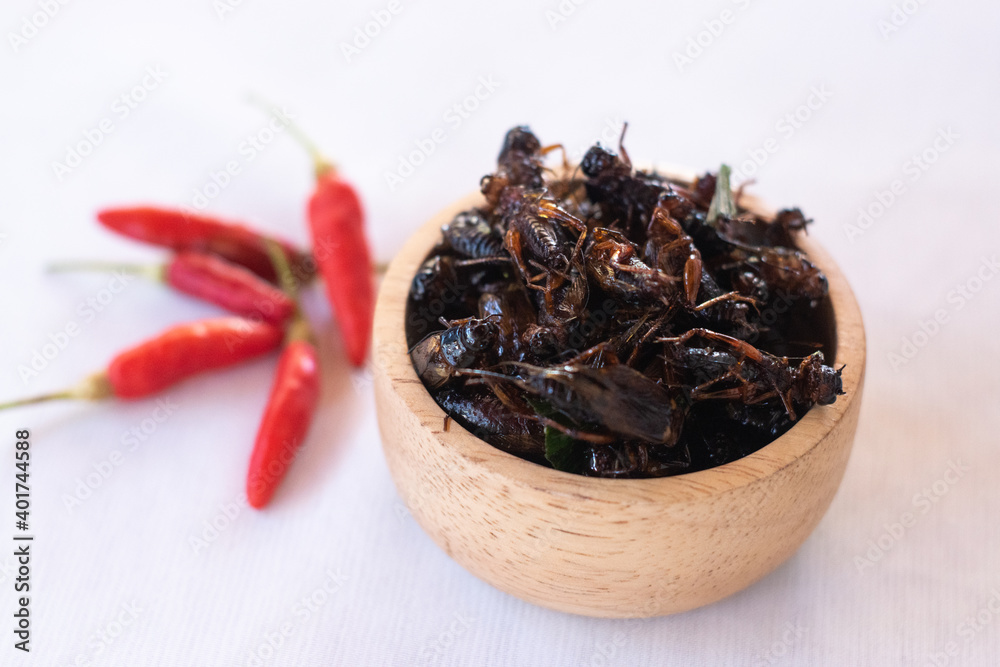 Fried crickets in wooden bow as edible insects on white background ...