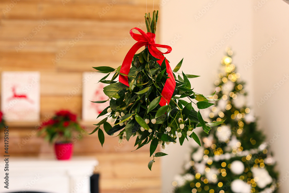 Hanging Christmas Mistletoe
