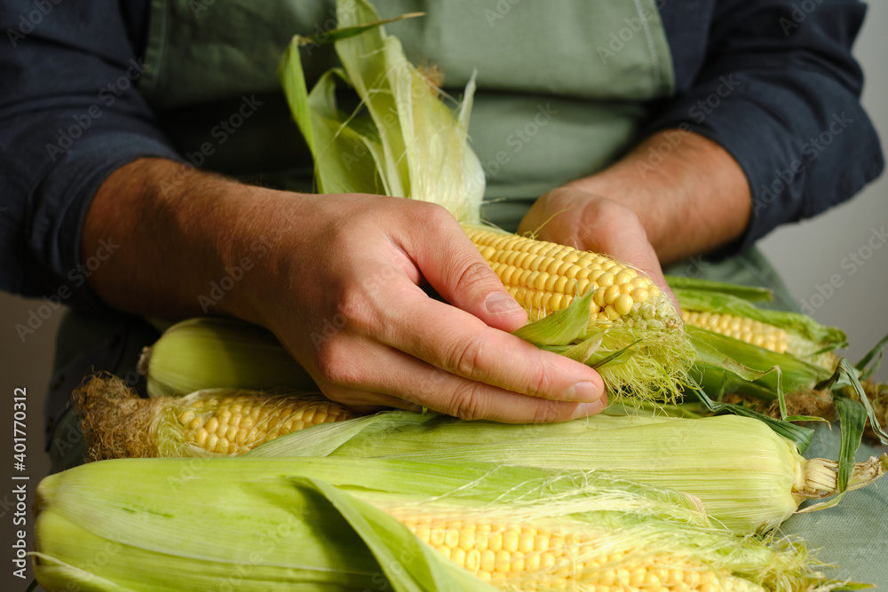 Man in an apron peels fresh corn. A man farmer harvesting corncob ...