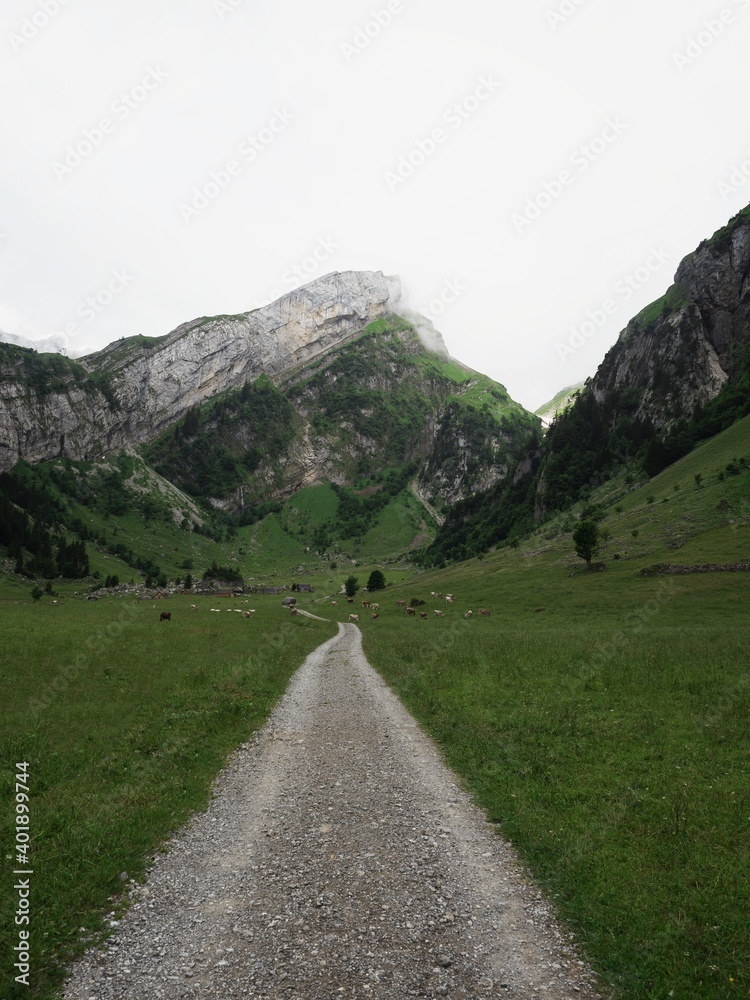 Hiking trail path at lake Seealpsee in Alpstein swiss alps Appenzell ...