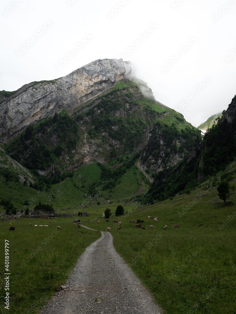 Hiking trail path at lake Seealpsee in Alpstein swiss alps Appenzell ...