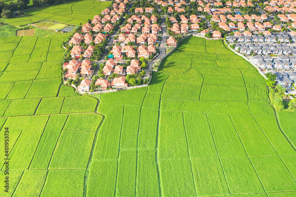 Housing subdivision or housing development. Also call tract housing ...