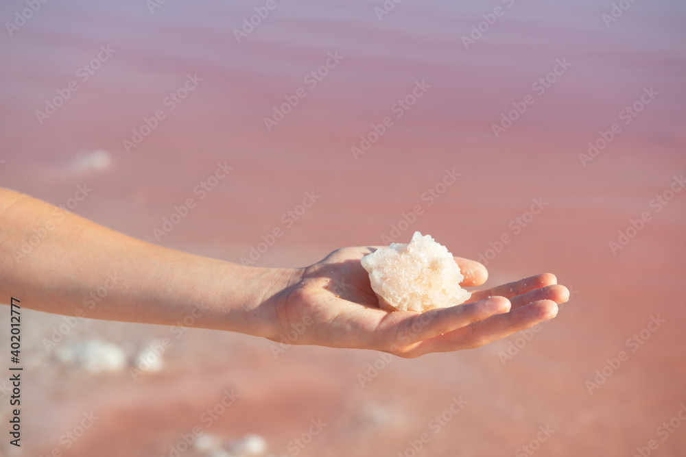 Boy's hand full of salt against of salty pink lake. Salt mining ...