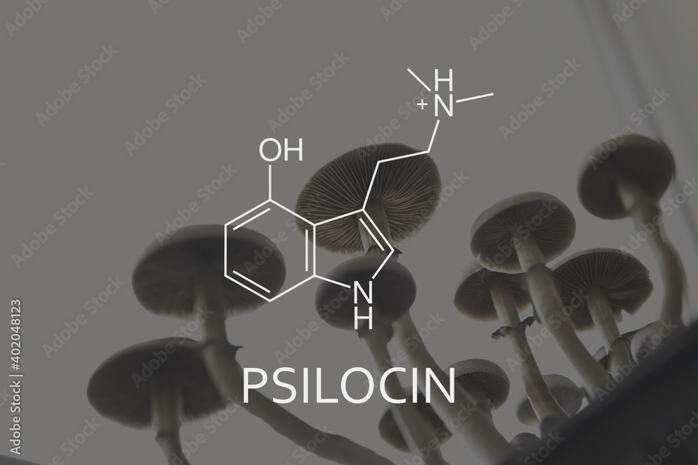 psilocin formula. Psychoactive natural drug. Medical psilocybin and ... psilocin formula. Psychoactive natural drug. Medical psilocybin and ...