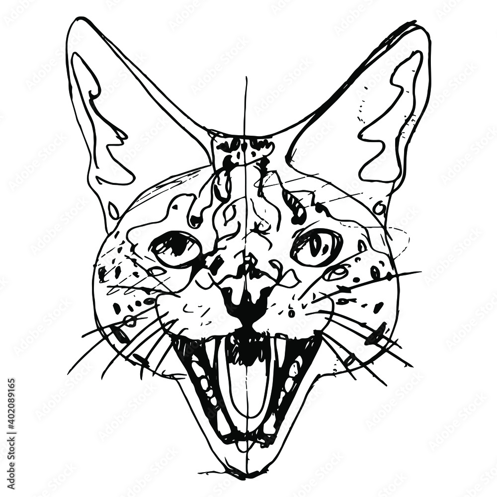 Hand drawn rough sketch of serval head. Wild animal. Angry cat with ...