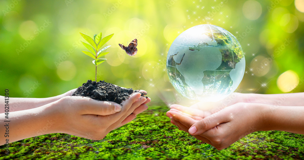 Concept Save the world save environment The world is in the grass of ...