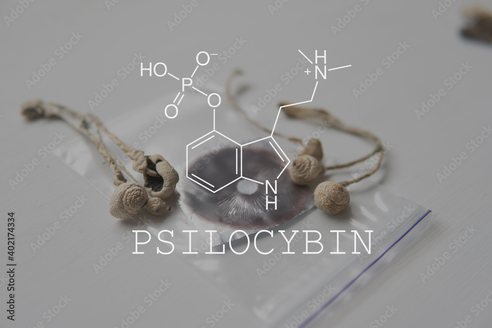 psilocybin psychedelic formula. Recreational use of psilocybin ...
