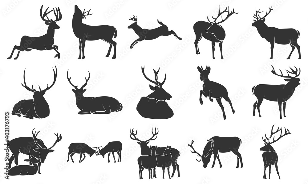 Deer Action Poses