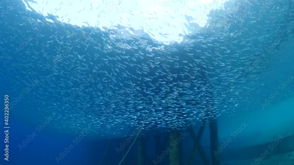 pier underwater lights and fish sun rays ocean floor human made ...