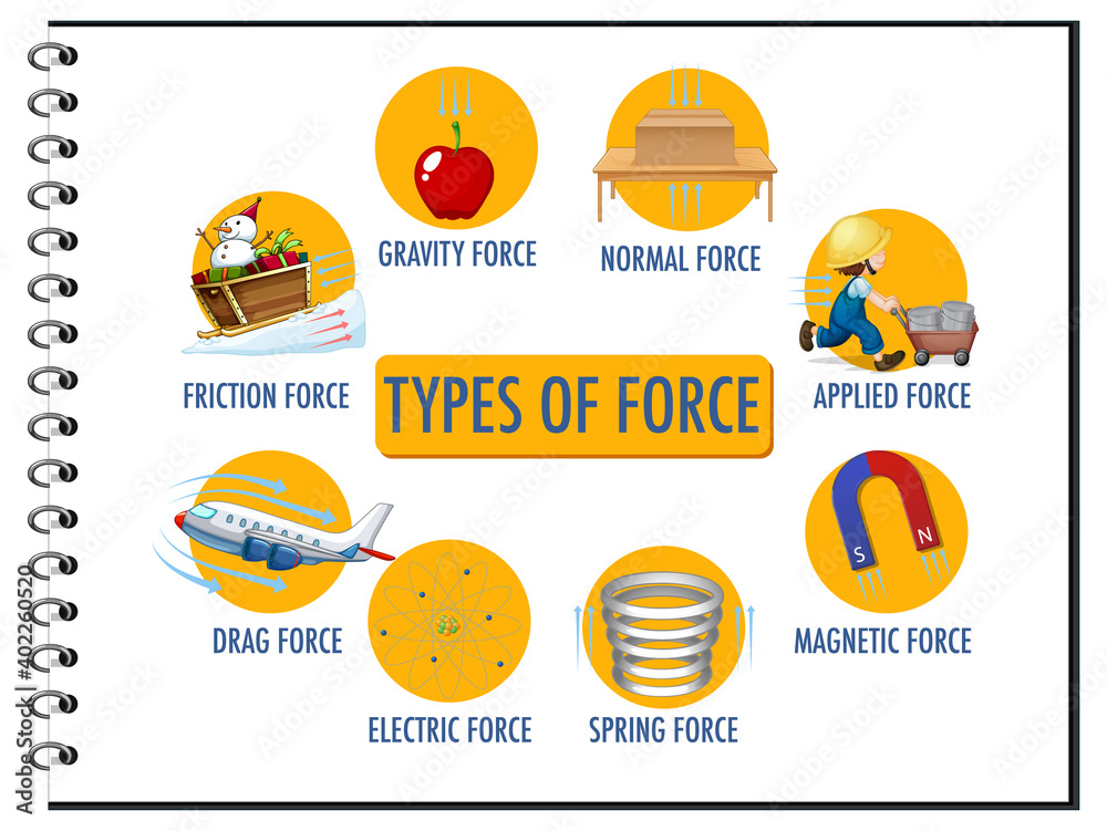Types of force for children physics educational poster Stock Vector ...