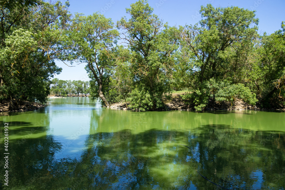 Lake for migratory birds in the reserve Askania Nova in Ukraine on a ...