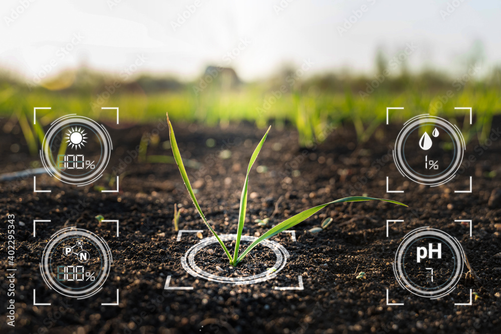 Plant sprout with AI technology for detection and control system ...