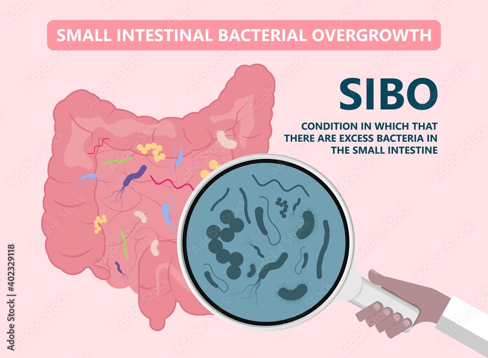 intestine bacteria gut pain eating IBS large fungal fungi tract H ...