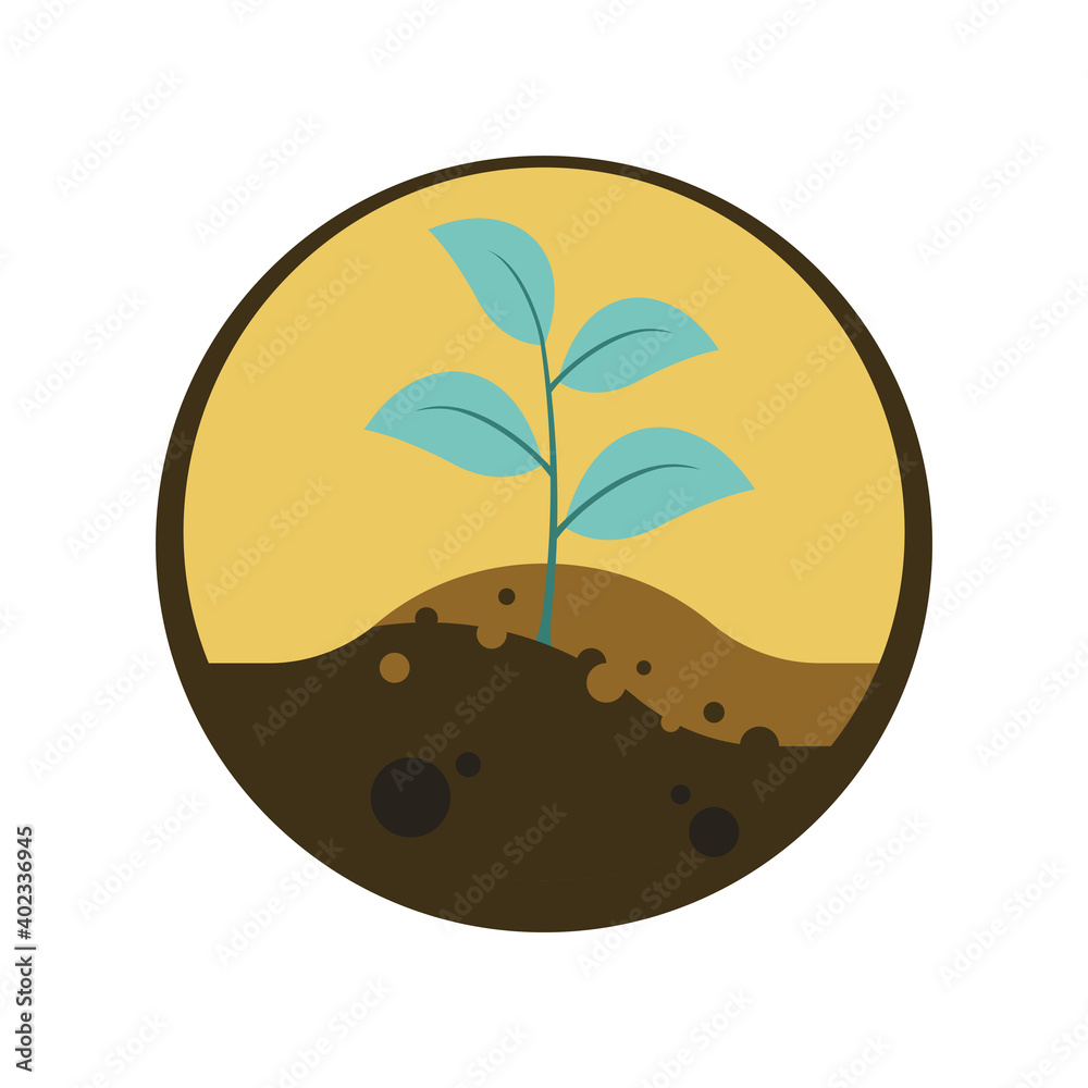 Growing plant on mound garden showing layer of soil. Soil conservation ...