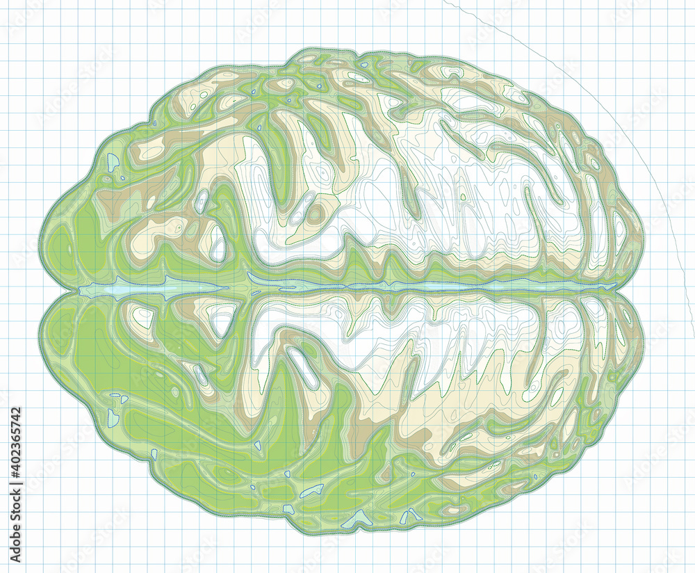 Geographic map of the brain, reworking of the human brain in the form ...