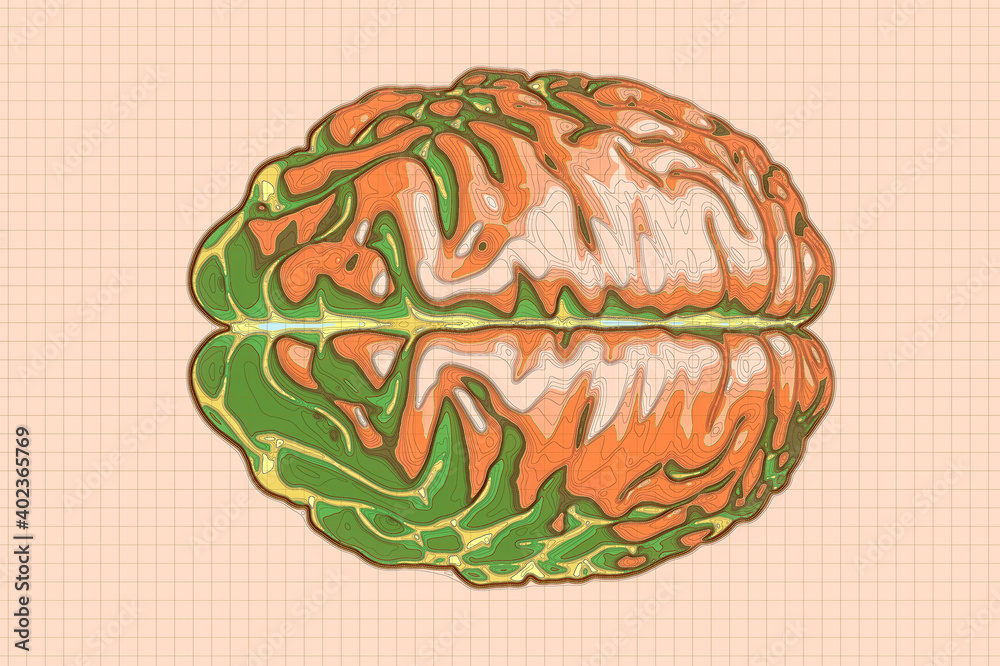 Geographic map of the brain, reworking of the human brain in the form ...
