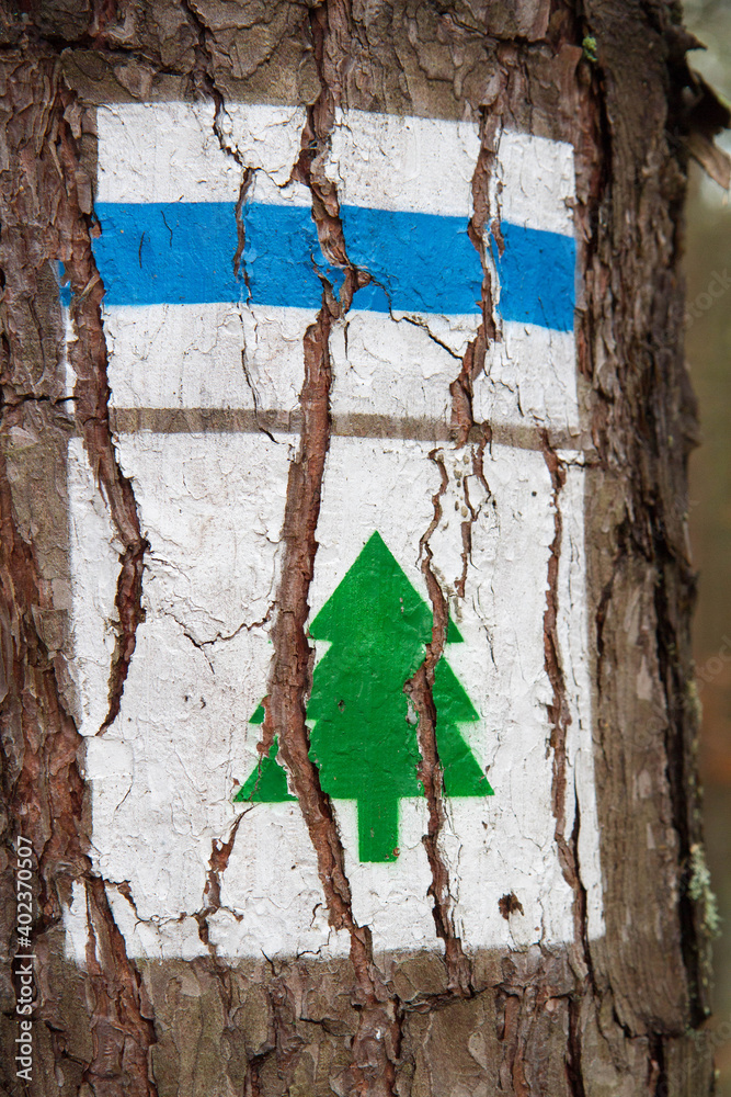 Hiking path symbols on a tree in a shape of a christmas tree and a blue ...