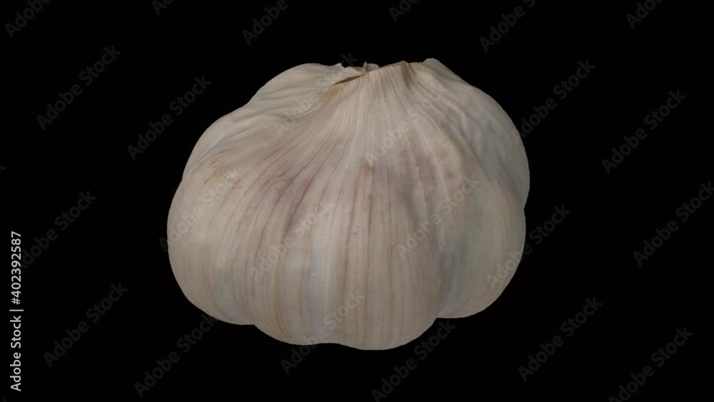 Realistic render of a rotating garlic head on transparent background ...