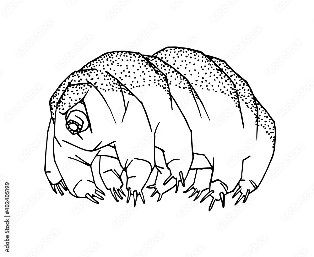 tardigrade or water bear, a microscopic organism that survives in outer ...