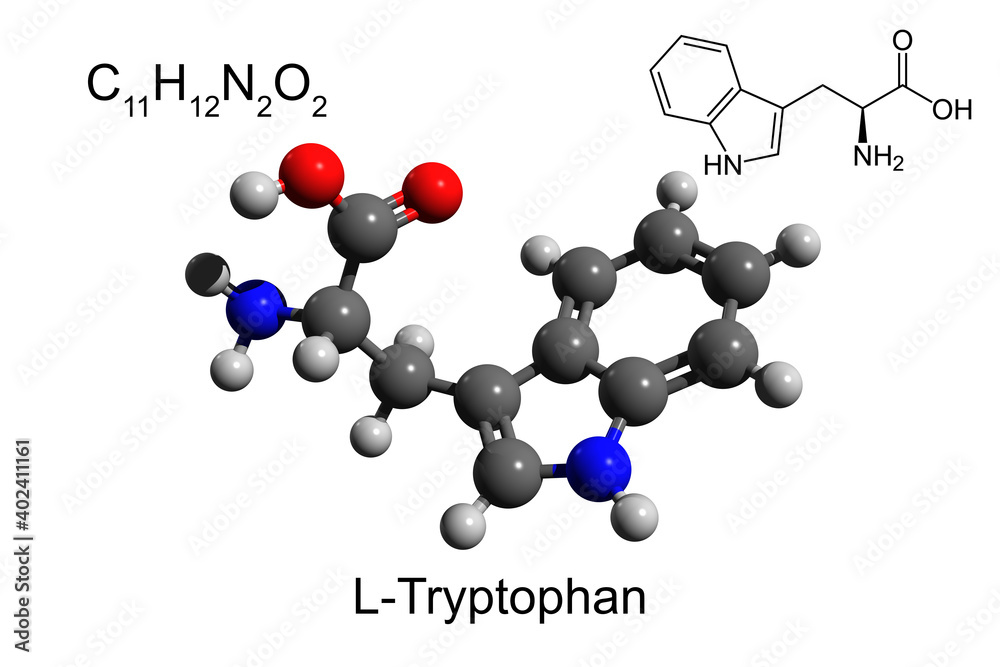 Chemical formula, skeletal formula and 3D ball-and-stick model of L ...