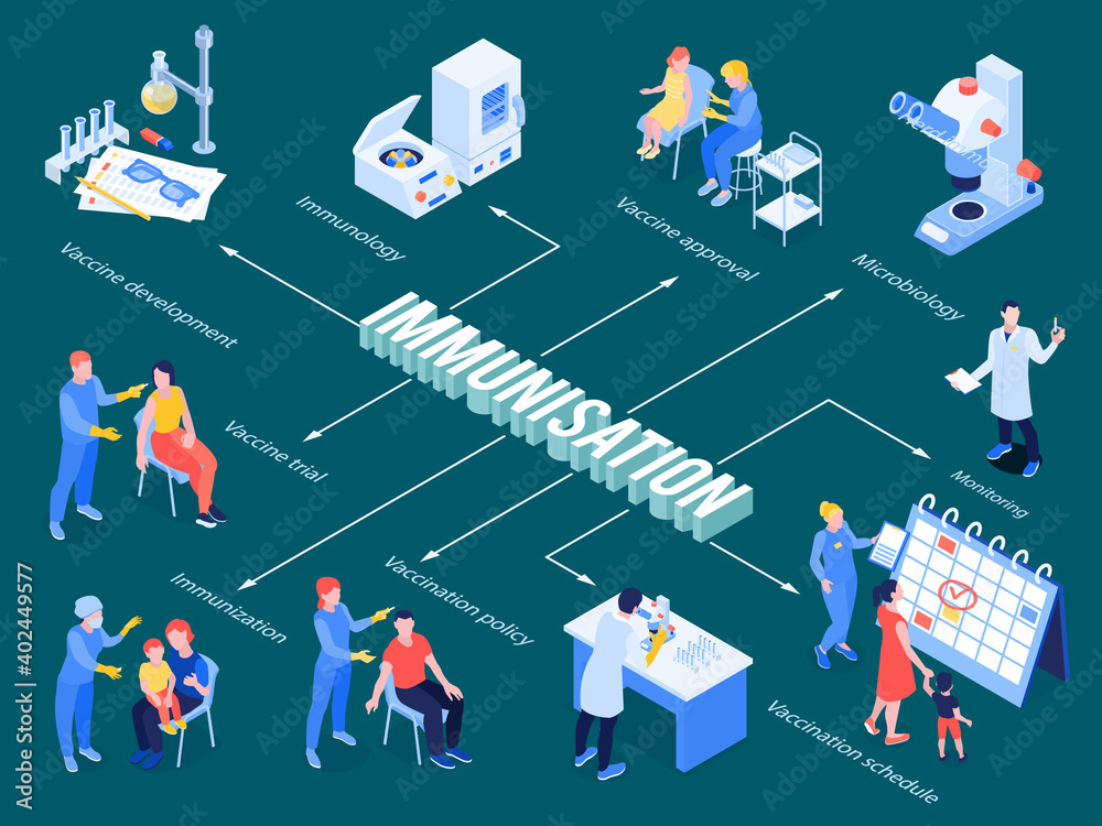 Immunization Isometric Flowchart Stock Vector | Adobe Stock