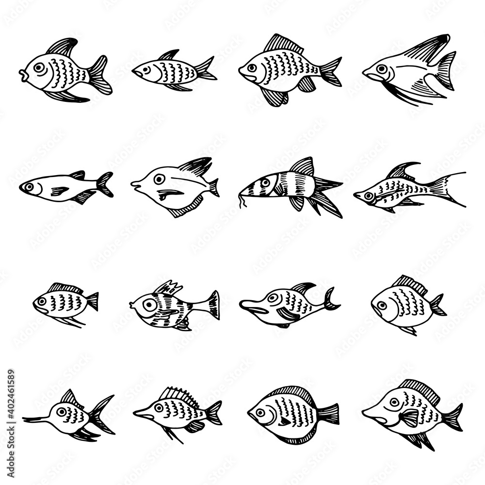 animal, aquatic, art, background, collection, design, doodle, drawing ...