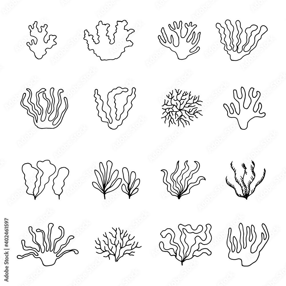 algae green linear drawing icons set Stock Vector | Adobe Stock