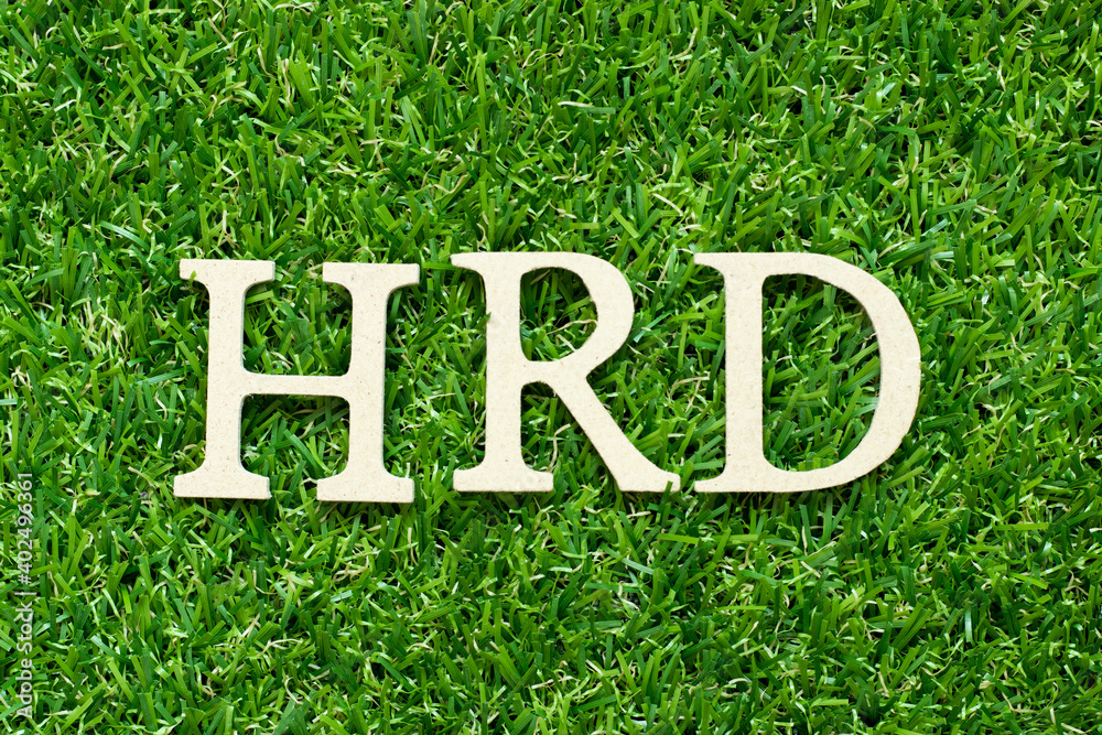 Wood alphabet letter in word HRD (Abbreviation of human resource ...