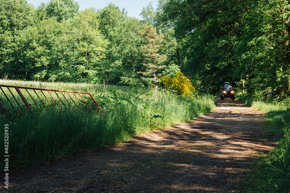 un chemin de forêt avec un quad. Un quad sur un chemin de campagne ...