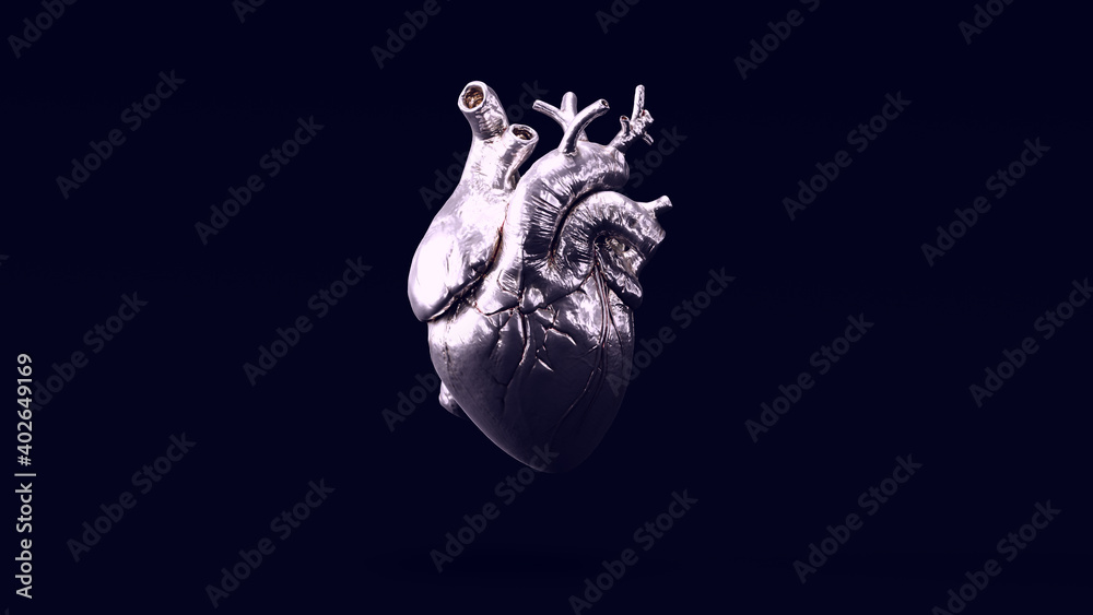 Silver Anatomical Heart with Bright White 80s Lighting 3d illustration ...
