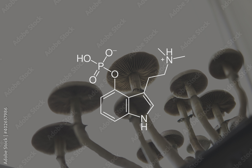 psilocybin formula. Legalization Medical . Medical psilocybin on the ...