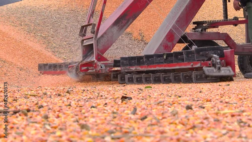 loading corn grain at the elevator using the unloader Stock ビデオ | Adobe ...
