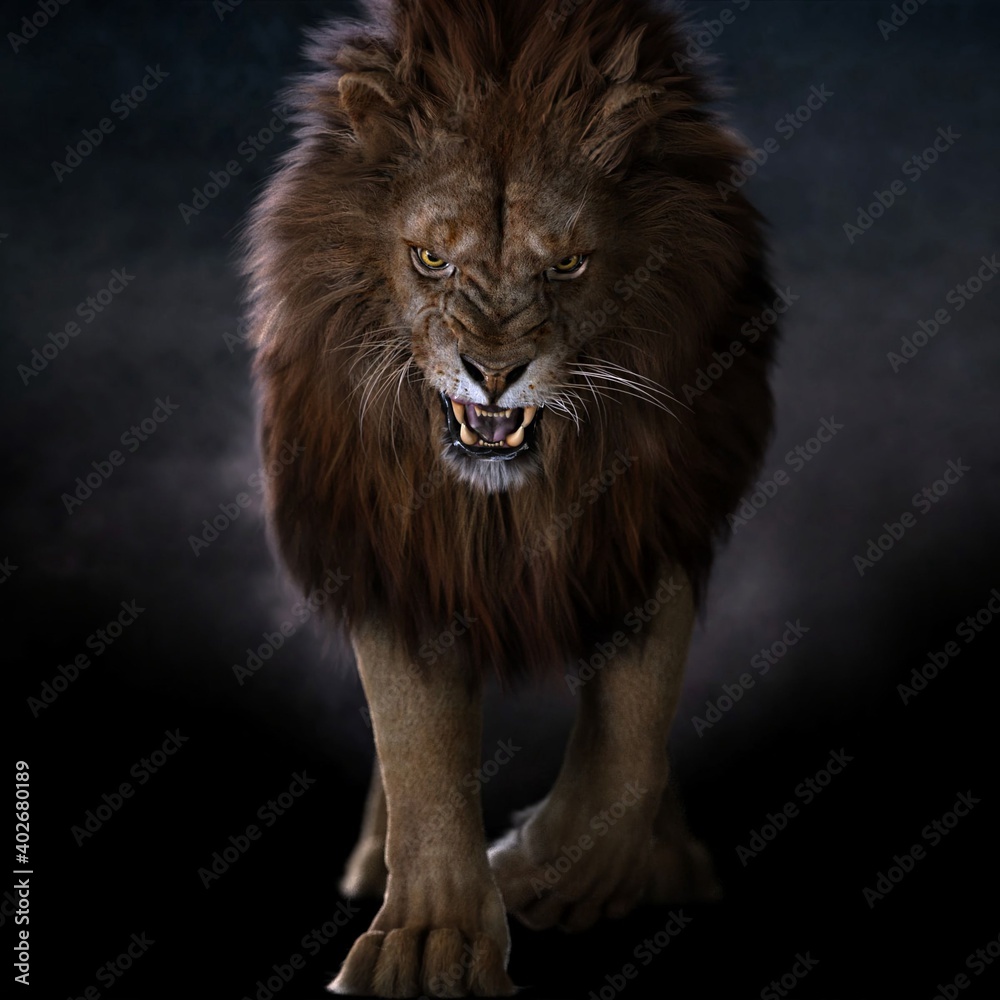 lion Stock Photo | Adobe Stock