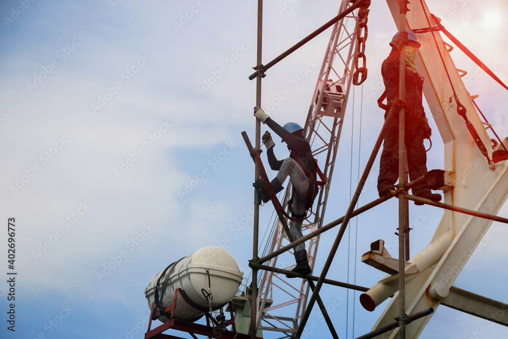 Safety, Construction wearing safety harness and Safety line working on ...