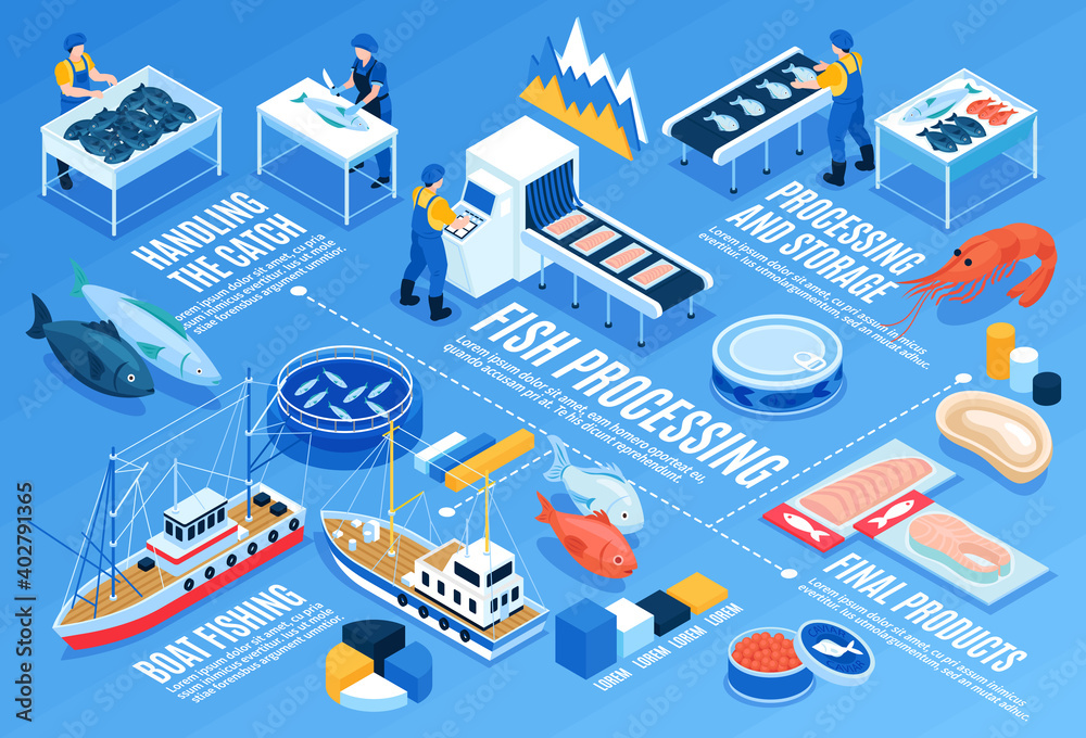 Fish Processing Horizontal Infographics Stock Vector | Adobe Stock