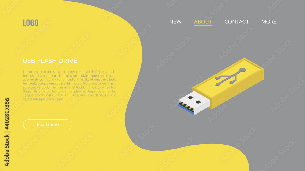 Vector isometric illustration, usb flash drive in minimalistic ...