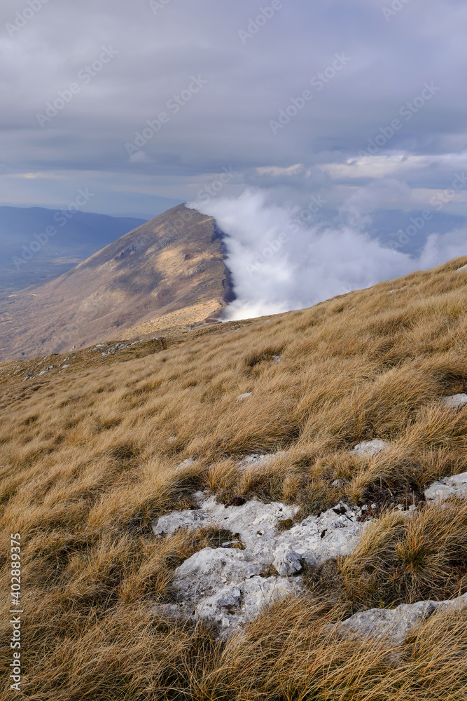 Golden, dry grass and distant mountain ridge covered by thick mist and ...