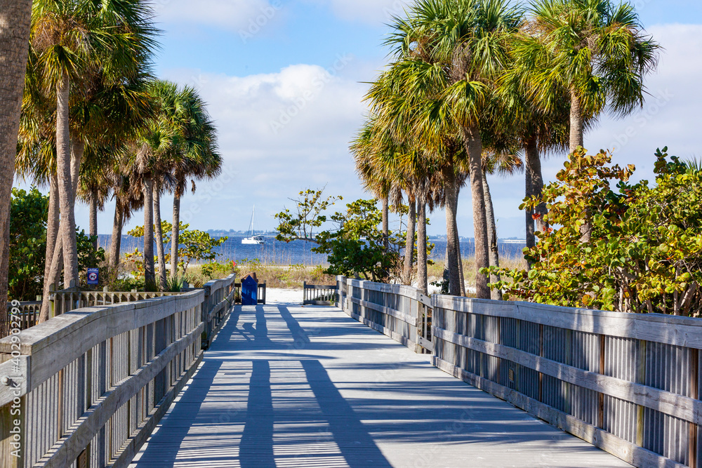 Foto de A wide boardwalk lined with palms at Bowditch Point Park with a ...