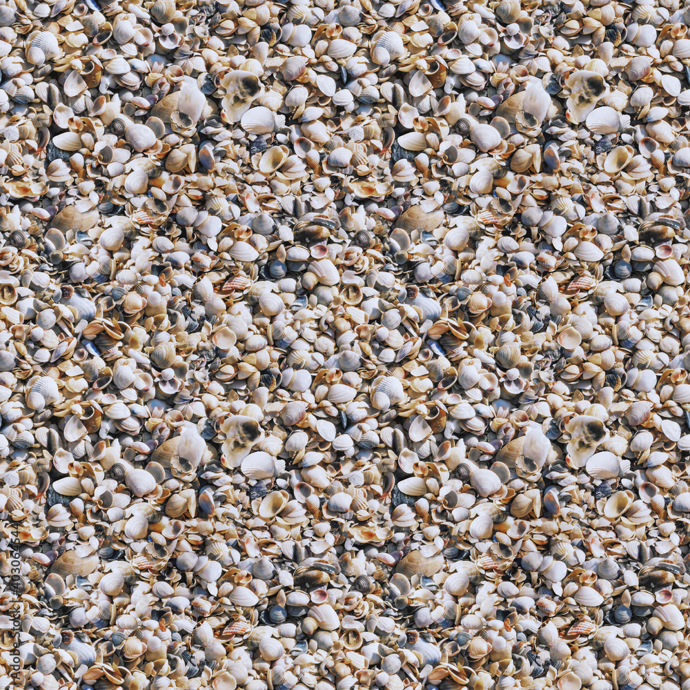 Shells on the sea coast after the storm, background, square seamless ...