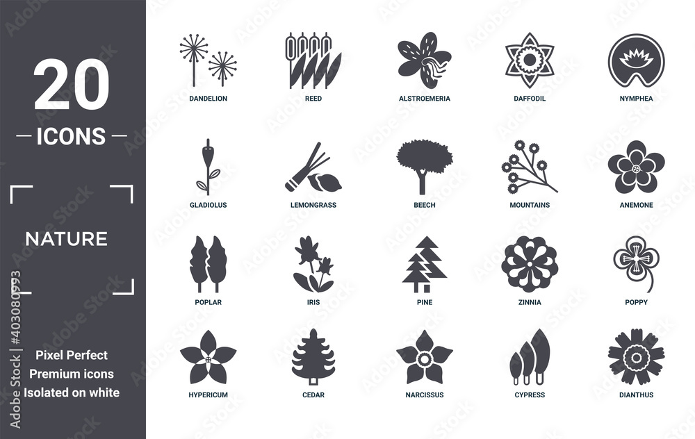 nature icon set. include creative elements as dandelion, nymphea ...
