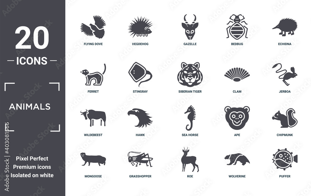 animals icon set. include creative elements as flying dove, echidna ...
