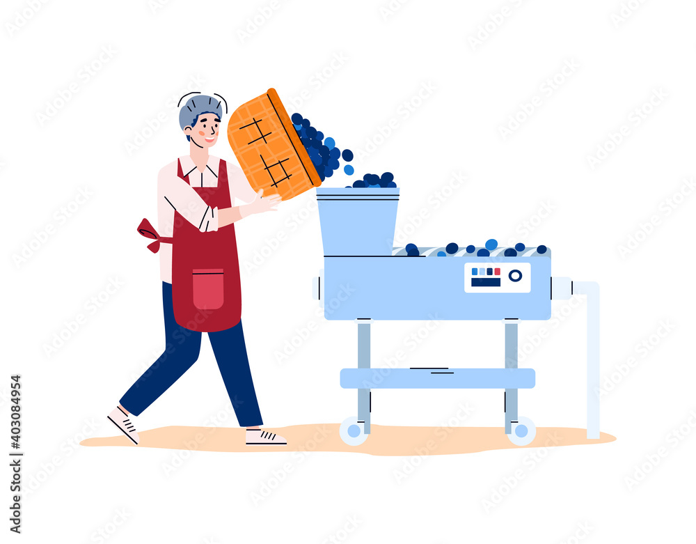 Grape processing plant or winery worker loading grape into conveyor ...