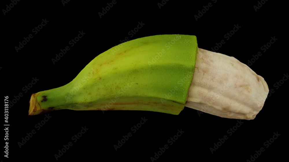 Realistic render of a rolling partially peeled Cooking Banana (Saba ...
